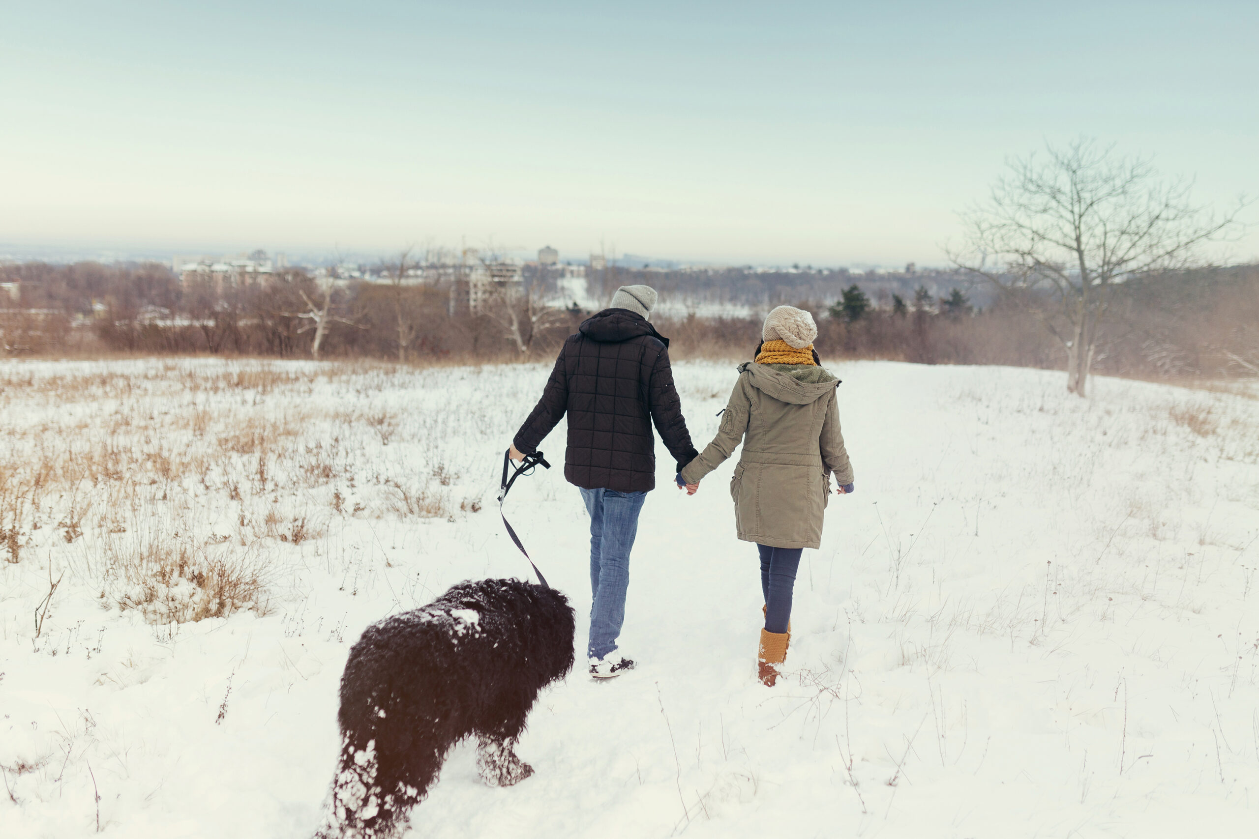 Bien préparer l’hiver naturellement - Studio Ann Caroline